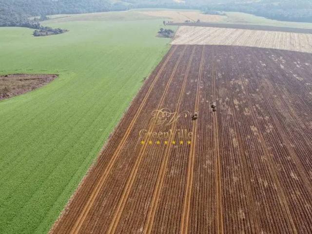 Fazenda para Venda em Maringá/PR Loteamento Sumaré 3 Quartos