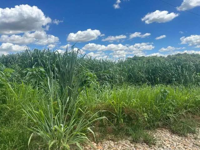 Fazenda para Venda em Mário Campos/MG Capão