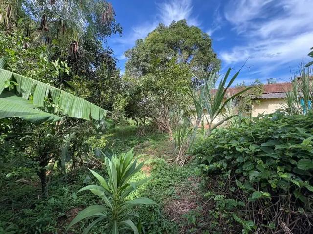 Fazenda para Venda em Mário Campos/MG Bom Jardim