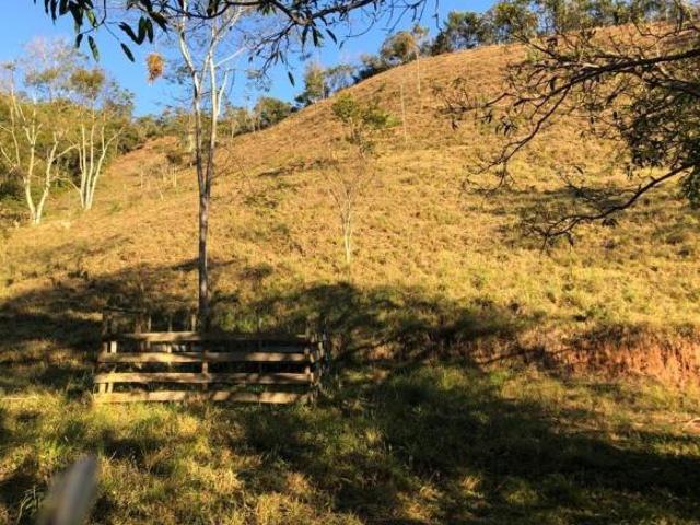 Fazenda para venda em Mariana