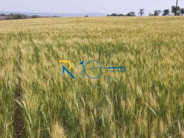 Fazenda para Venda em Marilândia do Sul/PR Zona Rural