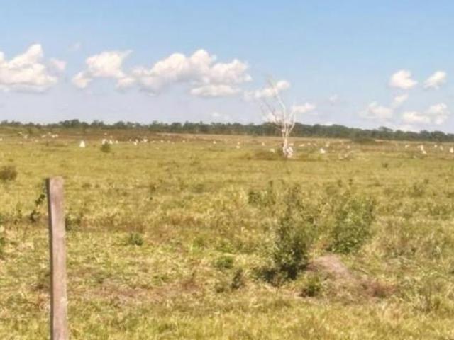 Fazenda para Venda em Marília, Zona Rural