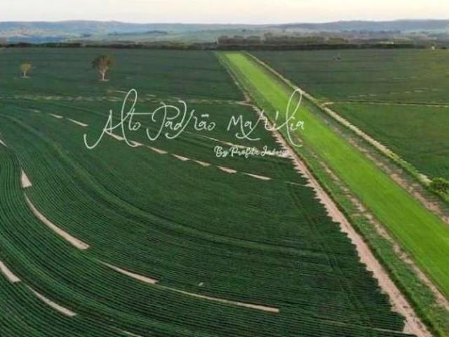 Fazenda para Venda em Marília, Avencas Avencas, 3 dormitórios, 5 banheiros, 10 vagas