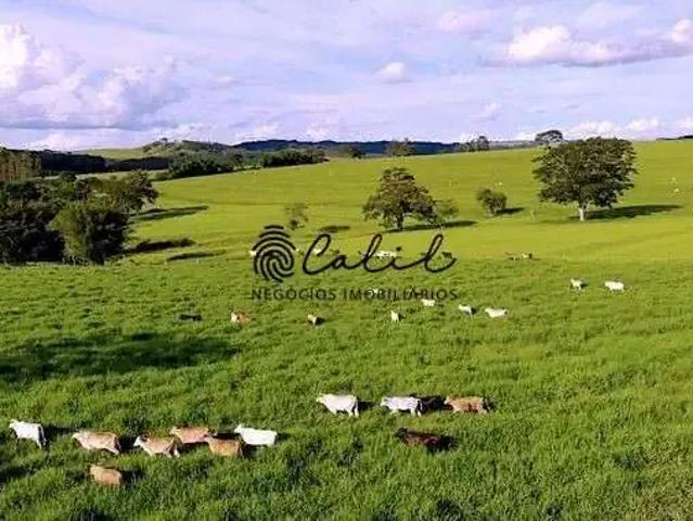 Fazenda para Venda em Marília/SP Avencas Avencas 4 Quartos