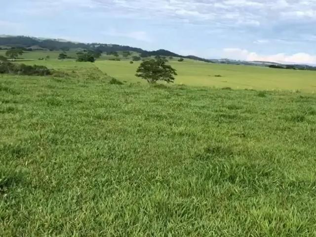 Fazenda para Venda em Marília/SP Área Rural de Marília