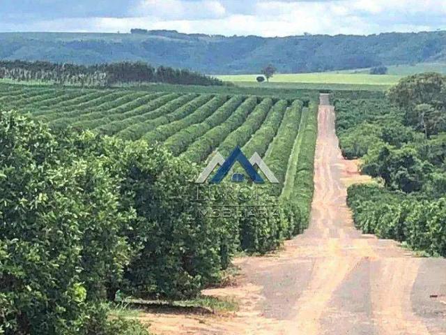 Fazenda para Venda em Marília/SP Área Rural de Marília 5 Quartos