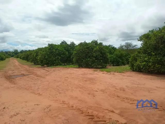 Fazenda para Venda em Marília/SP Área Rural de Marília 1 Quartos