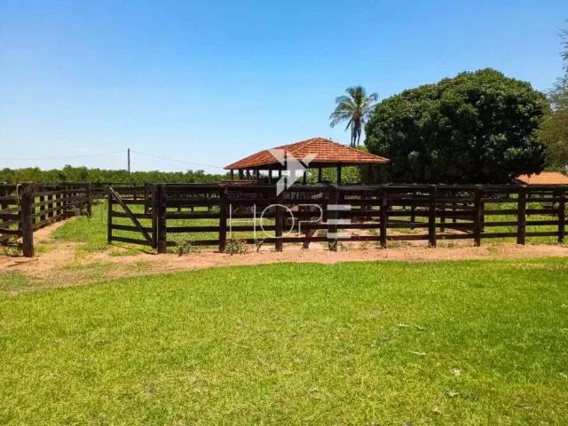 Fazenda para Venda em Marília/SP Área Rural de Marília 1 Quartos
