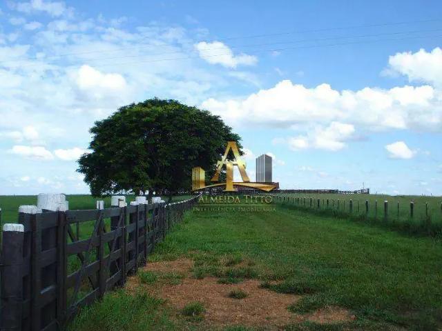 Fazenda para Venda em Marília/SP Área Rural de Marília 1 Quartos