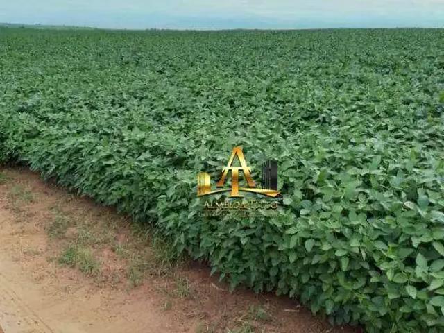 Fazenda para Venda em Marília/SP Área Rural de Marília 1 Quartos