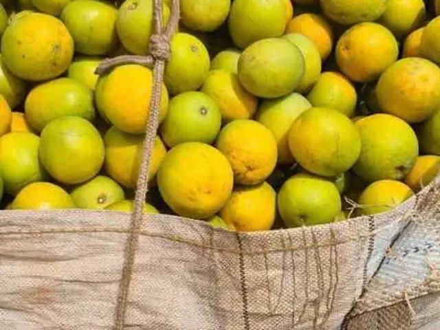 Fazenda para Venda em Marília/SP Centro