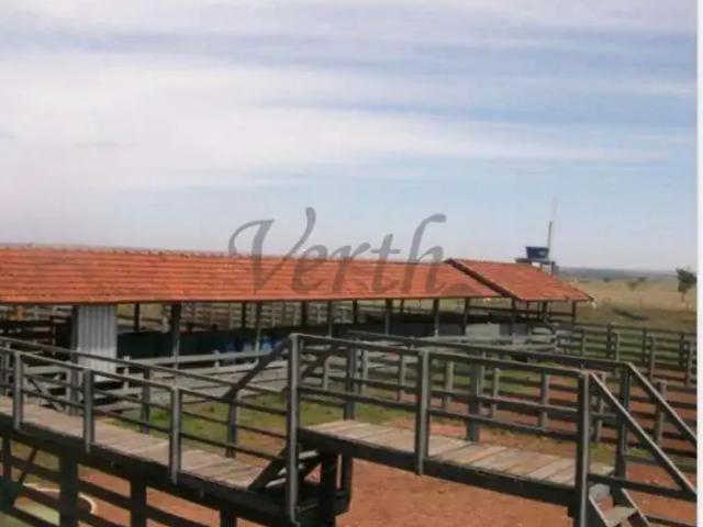 Fazenda para Venda em Marília/SP Centro 10 Quartos