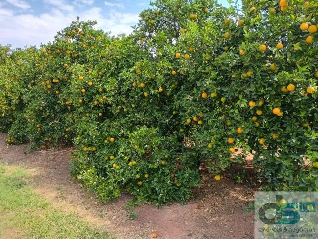 Fazenda para Venda em Marília/SP Jardim Acapulco