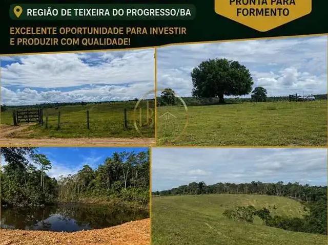 Fazenda para Venda em Mascote/BA Teixeira do Progresso