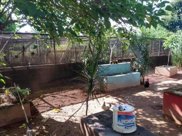 Fazenda para venda em Mendonça