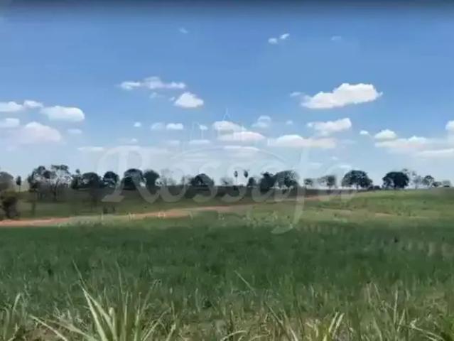 Fazenda para Venda em Meridiano/SP Centro