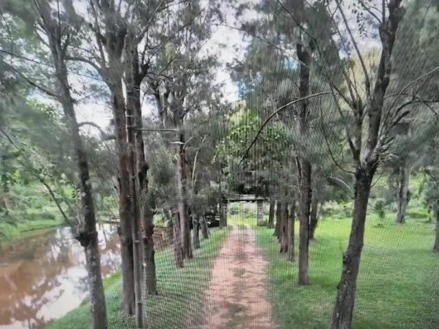 Fazenda para Venda em Miguel Pereira/RJ Pantanal