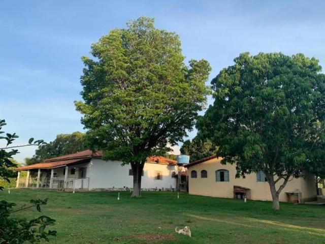 Fazenda para Venda em Mimoso de Goiás, MIMOSO GOÍAS, 6 dormitórios, 4 suítes, 5 banheiros, 4 vagas