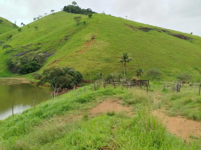 Fazenda para Venda em Mimoso do Sul/ES Centro