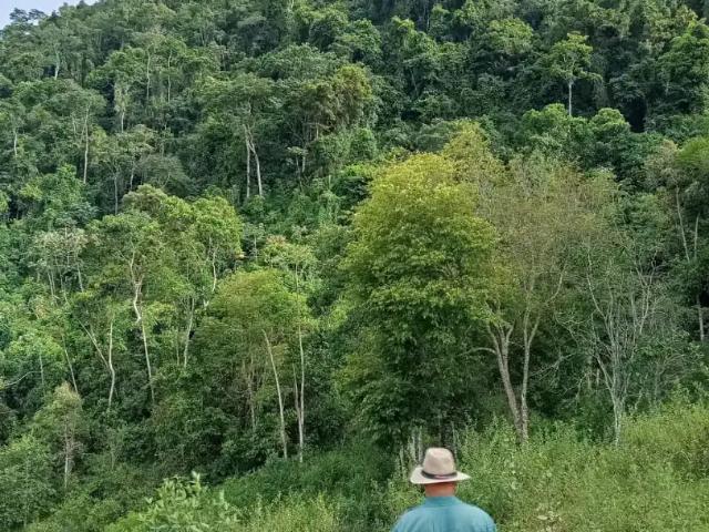 Fazenda para Venda em Mimoso do Sul/ES Centro