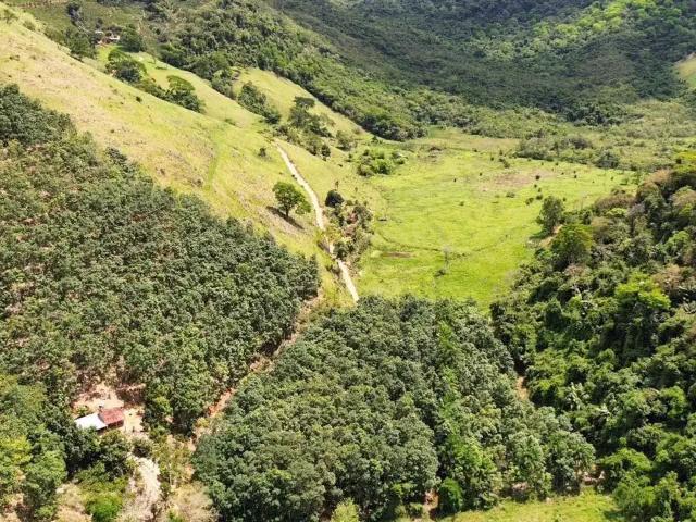 Fazenda para Venda em Mimoso do Sul/ES Centro