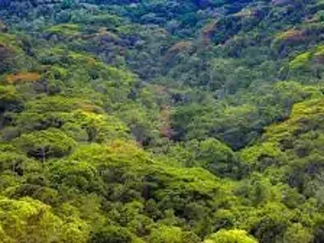 Fazenda para Venda em Mimoso do Sul/ES Centro