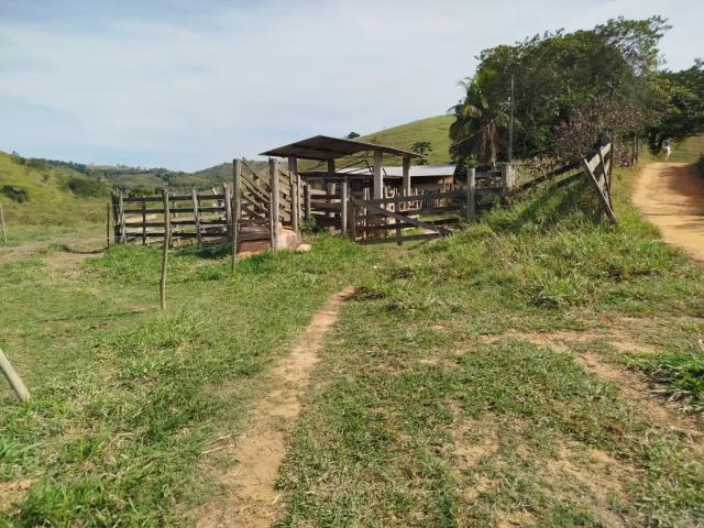 Fazenda para Venda em Mimoso do Sul/ES Centro