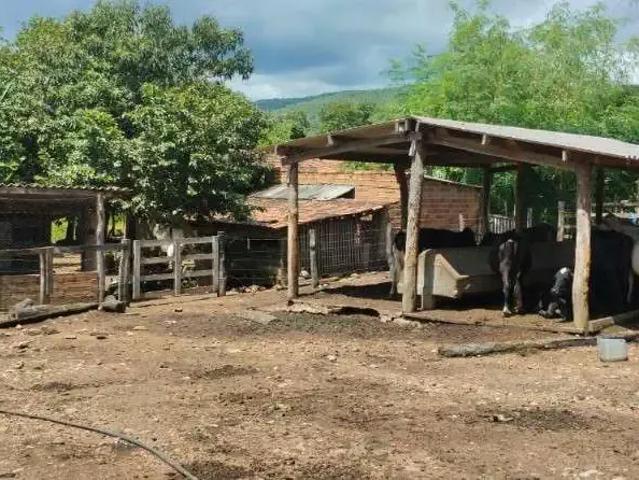 Fazenda para Venda em Minaçu/GO Zona Rural