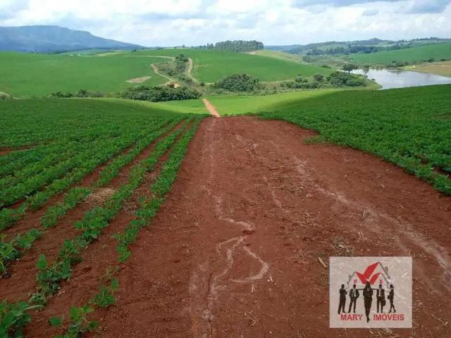 Fazenda para Venda em Minduri/MG Centro