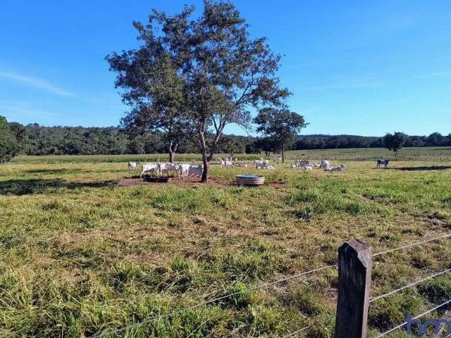 Fazenda para Venda em Mineiros/GO Área Rural de Mineiros