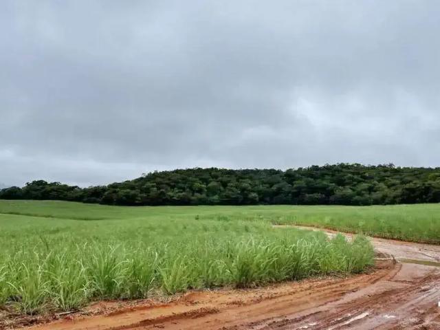 Fazenda para Venda em Mineiros/GO Área Rural de Mineiros