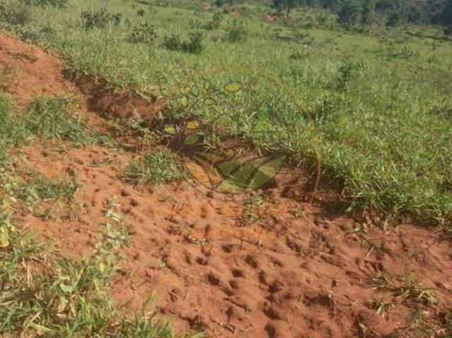 Fazenda para Venda em Mineiros/GO Centro
