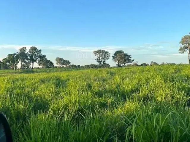 Fazenda para Venda em Miranda/MS Centro