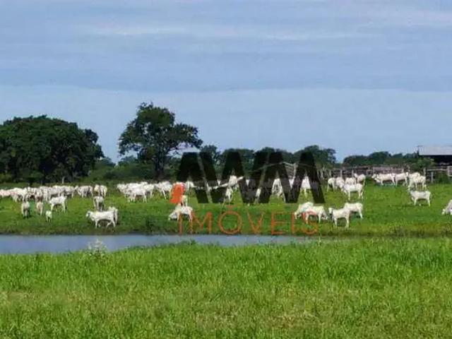 Fazenda para Venda em Miranda/MS Zona Rural