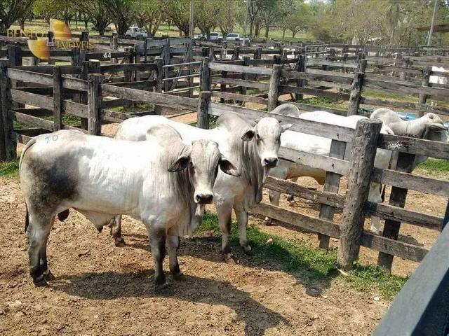 Fazenda para Venda em Miranda/MS Zona Rural