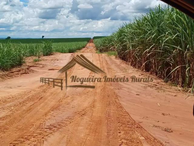 Fazenda para Venda em Mirandópolis/SP Zona Rural