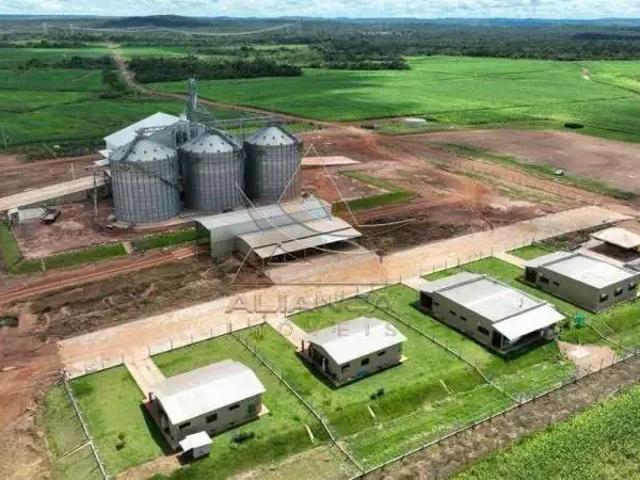 Fazenda para Venda em Miranorte/TO Zona Rural 12 Quartos