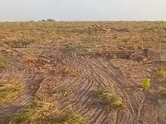 Fazenda para Venda em Mirador/MA Zona Rural