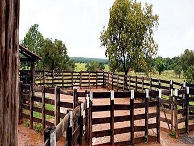 Fazenda para Venda em Mundo Novo, 2 suítes
