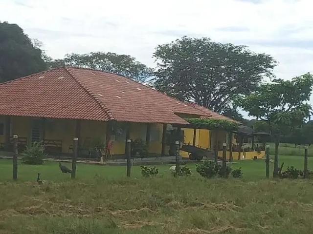 Fazenda para Venda em Mundo Novo/GO Zona Rural