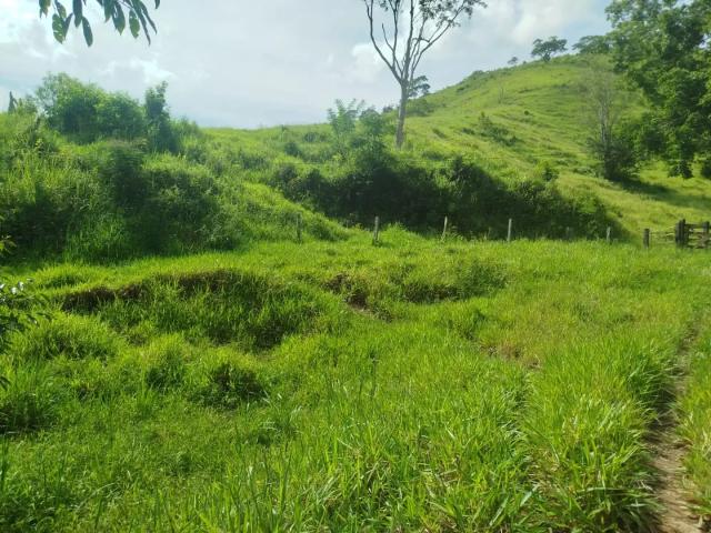 Fazenda para Venda em Muqui/ES Centro