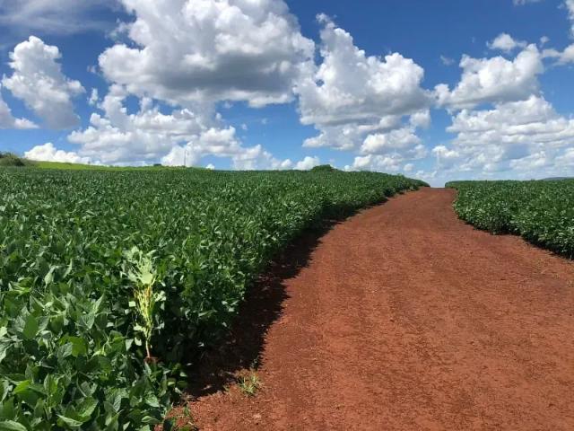 Fazenda para Venda em Nova Ubiratã/MT Centro