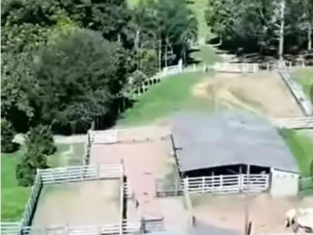 Fazenda para Venda em Nova Aurora/GO Zona Rural
