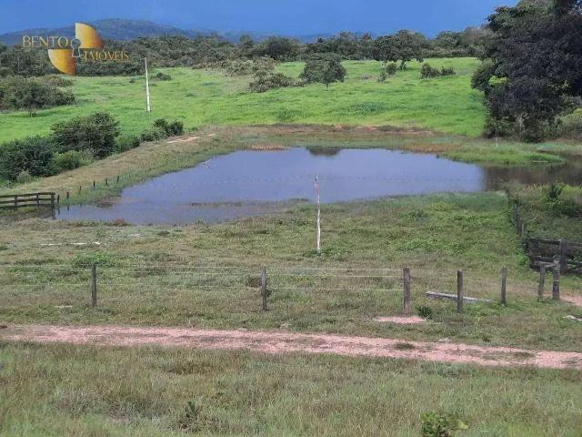 Fazenda para Venda em Nova Brasilândia/MT Zona Rural
