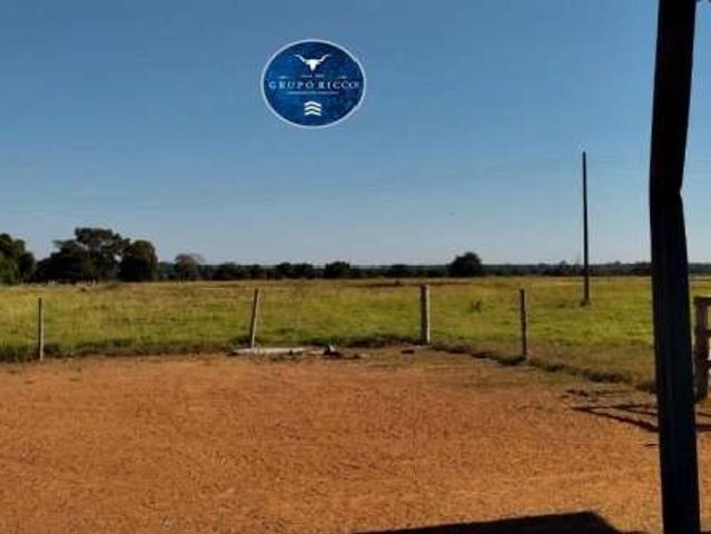 Fazenda para Venda em Nova Crixás/GO Zona Rural