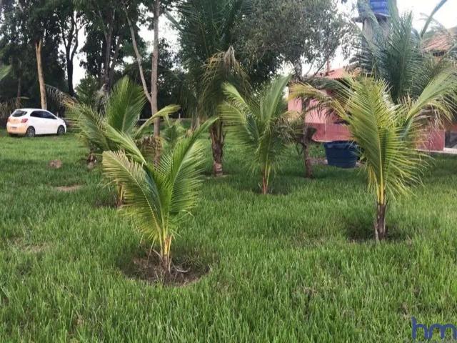Fazenda para Venda em Nova Crixás/GO Zona Rural
