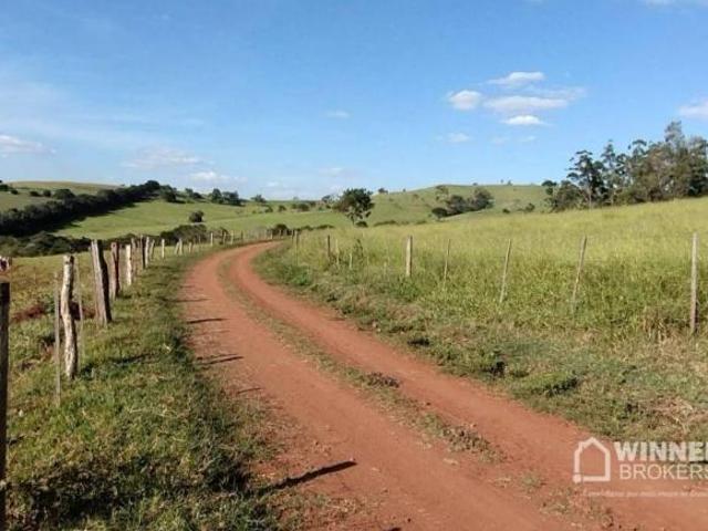 Fazenda para venda em Nova Fátima