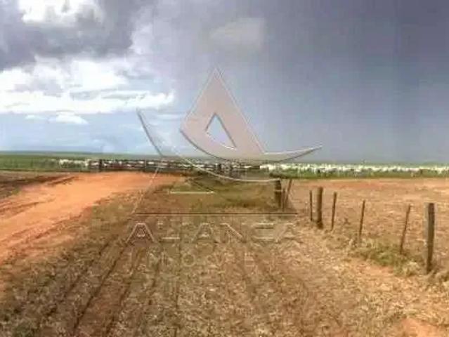 Fazenda para Venda em Nova Maringá/MT Zona Rural 1 Quartos