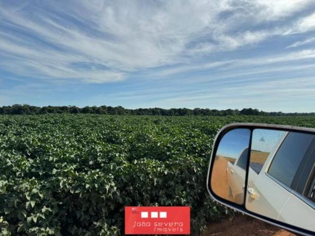 Fazenda para Venda em Nova Mutum