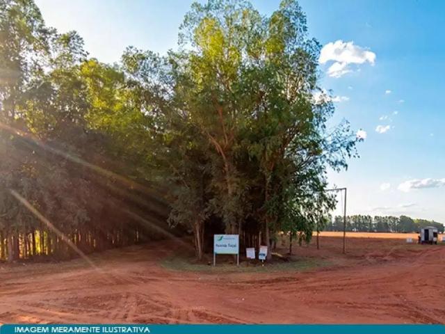 Fazenda para Venda em Nova Mutum/MT Centro